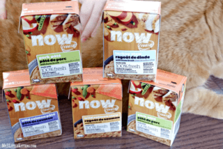 NOW FRESH Natural Cat Food - My 3 Little Kittens