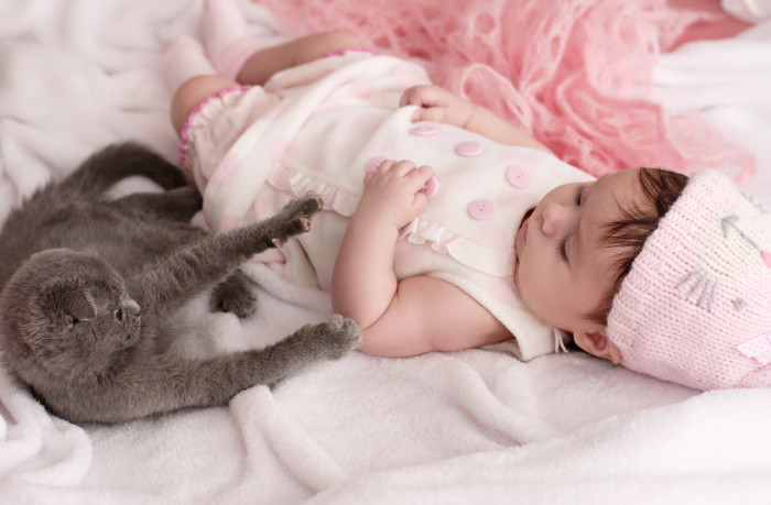 How to Introduce Your Cat to a New Baby - My 3 Little Kittens